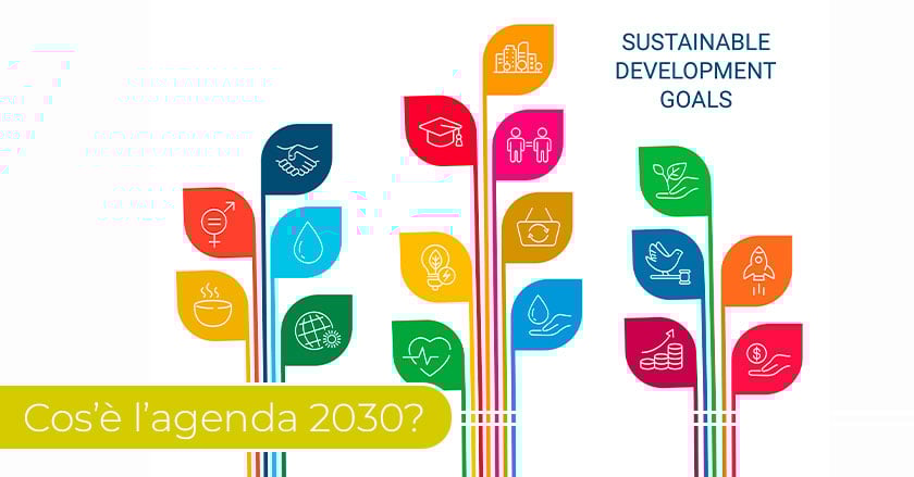 Obiettivi Agenda 2030 per lo sviluppo sostenibile nelle aziende Obiettivi Agenda 2030 per lo sviluppo sostenibile nelle aziende